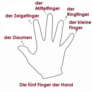Die Hand ... - Deutsch-Coach.com